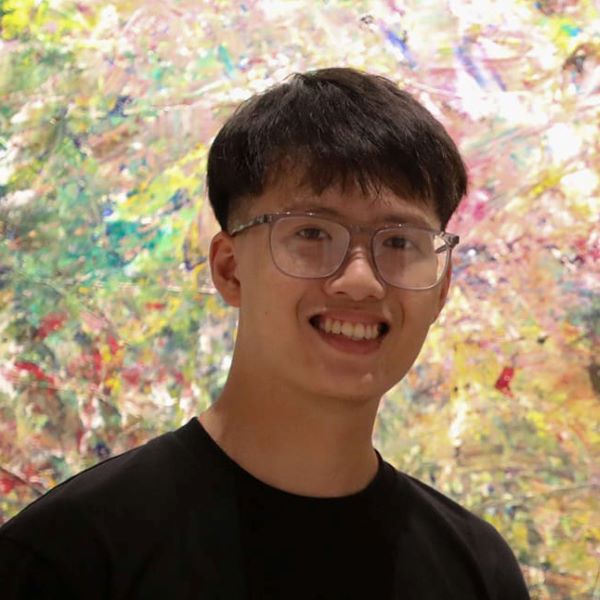 Henry Le Chess Sets - Brightening Your House